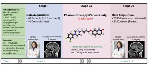 1 Illustration Of The Longitudinal Study Design Of The Project In