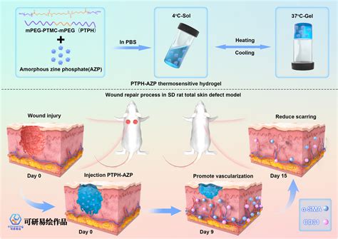 配图作品 长沙可研易绘信息科技有限公司科研绘图期刊封面设计论文插图设计科学动画绘图培训