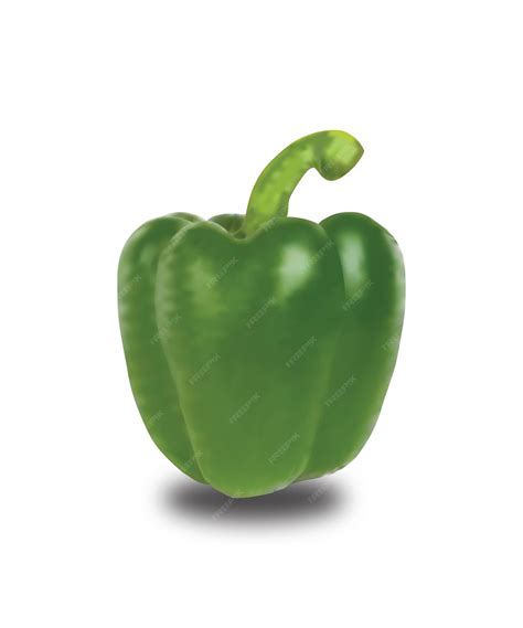 Premium Vector Capsicum