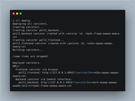 Step 4 Deploying Locally And Using Candid Ui Internet Computer