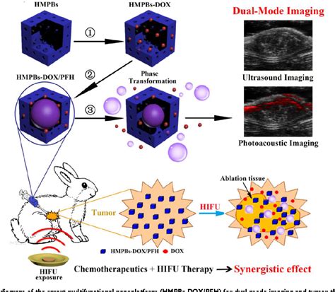 Figure 1 From A Multifunctional Theranostic Nanoagent For Dual Mode