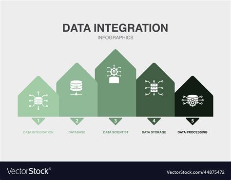 Data Integration Database Scientist Royalty Free Vector