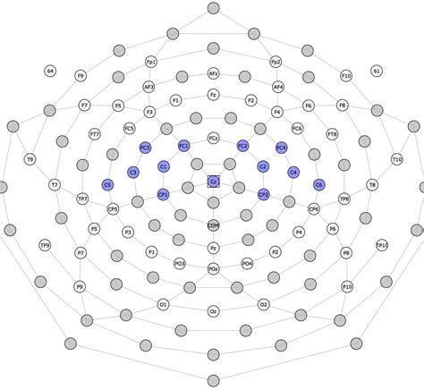 segmented eeg data from 12 subjects during left and right bicep flexion ieee dataport