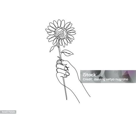 해바라기를 들고 있는 손의 연속 선 그리기 활발한 스트로크가있는 해바라기 간단한 라인 아트 플로리스트 개념입니다 해바라기에 대한