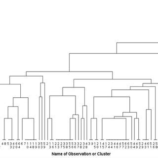 Dendrogram Showing The Clusters For Qualitative Traits Of 64 ICARDA S