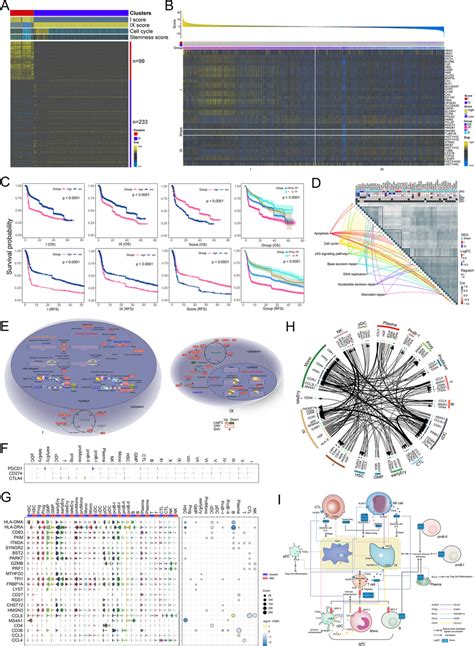 Multi Omics Anomaly Procedure For Mm Malignant Origin A Expression Download Scientific Diagram