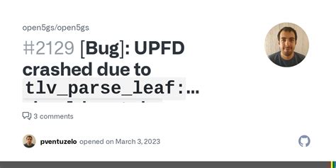 [bug] upfd crashed due to `tlv parse leaf should not be reached