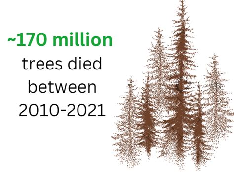 Forest Tree Mortality OEHHA