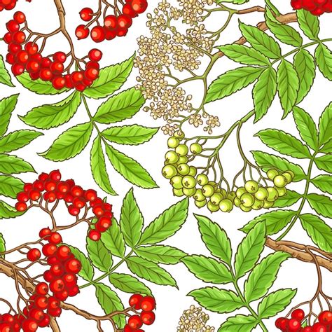 Premium Vector Rowan Branch Vector Pattern