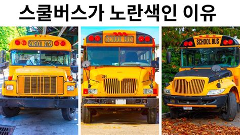 스쿨버스가 노란색인 이유 Youtube