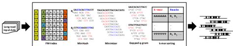 Visual Overview Of Overlap Detection Algorithms At The Least Each Download Scientific Diagram