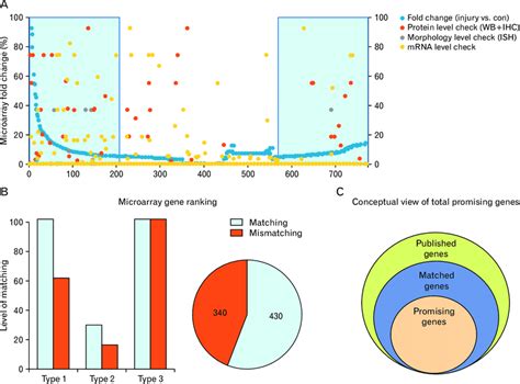 Comparison Between Microarray Gene Expression And The Real Experimental Download Scientific
