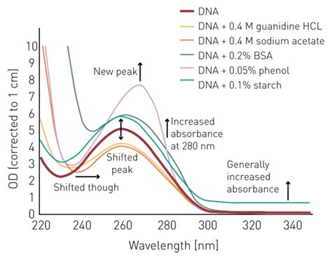 Dna Quantification With A Plate Reader Bmg Labtech