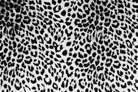 Download Black And White Leopard Print Wallpaper