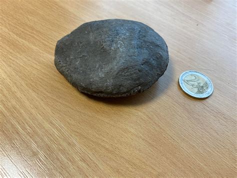 Found In Northern Utah R Fossilid