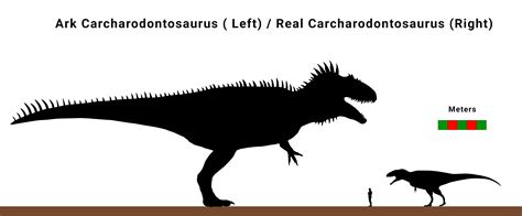 Carcharodontosaurus Size Comparison