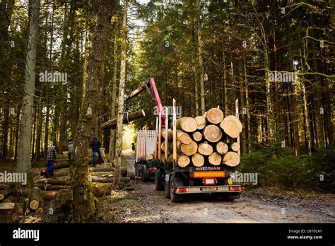 Crane Trucking And Harvesting At Marilyn Rose Blog