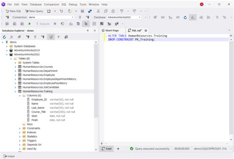 Primary Keys In SQL Server Definition Syntax Examples Devart Blog