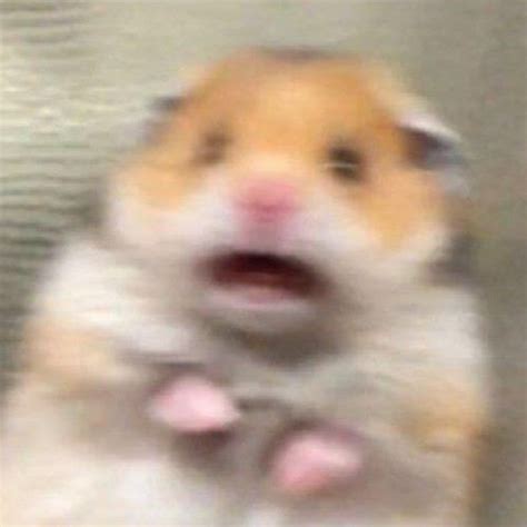 Amlnzu Z Hxubmuwj Ryxpdrphb Cdenhd Kjg Zmemdq S C K C X Ffffff No Rj