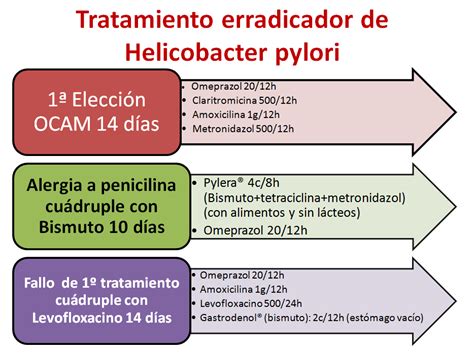 Tratamiento Helicobacter Pylori