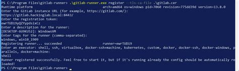 Devops Tales Installsetup Gitlab Gitlab Runners On Docker Windows Linux And Macos Holdmybeer