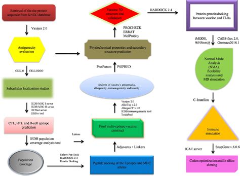 Schematic Representation Of Methodology And Tools Used In The Present Download Scientific