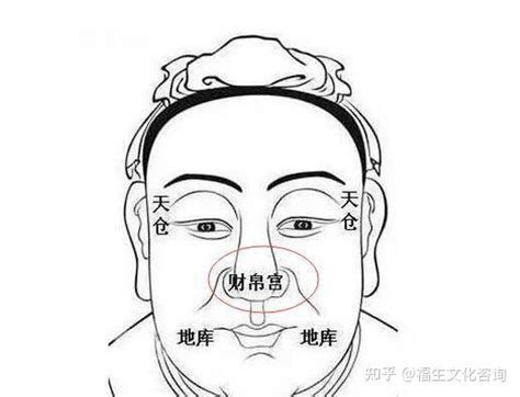 面相十二宫图解爱好者一定要收藏 知乎