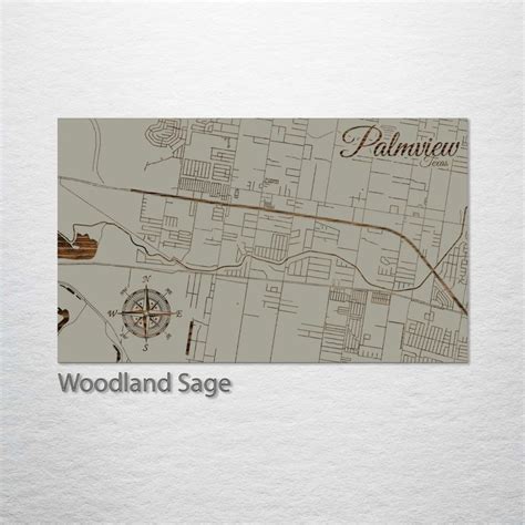 Palmview Texas Street Map Street Map Map Grain Texture