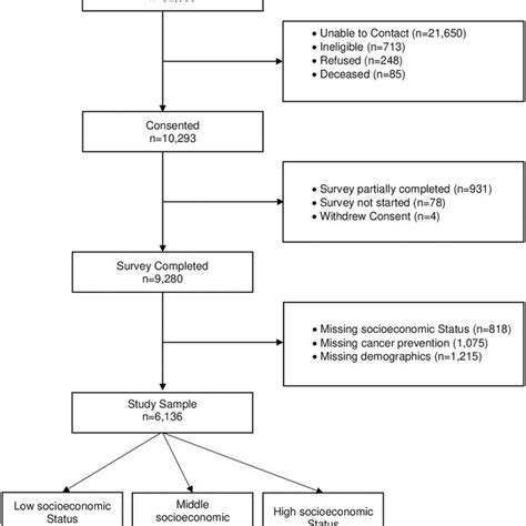 Study Schema 101371journalpone0287730g001