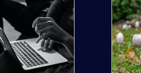 List Javascript Curated By Ismail Yucel Medium