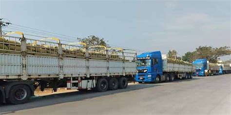 မြန်မာ့ဆန် ပြည်ပဆန်တင်ပို့မှု လျာထားချက် ကျော်လွန် Dvb