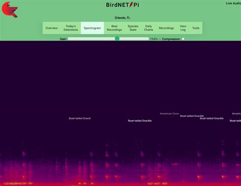 Github Neuromusicbirdnet Pi A Realtime Acoustic Bird Classification System For The Raspberry