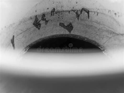 Love Is Right Way To Escape Wrong Line Stock Image Image Of