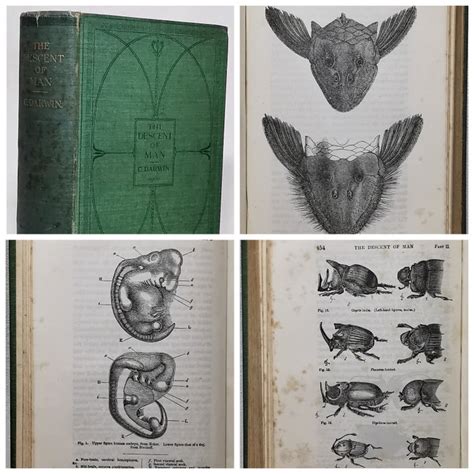 Charles Darwin M A F R S The Descent Of Man And Selection In Relation To Sex 1901 Catawiki