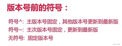 第八章 Npm锁定版本 Csdn博客