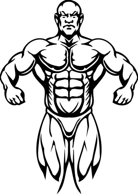 Outline Human Muscles Stock Illustrations 928 Outline Human Muscles Stock Illustrations
