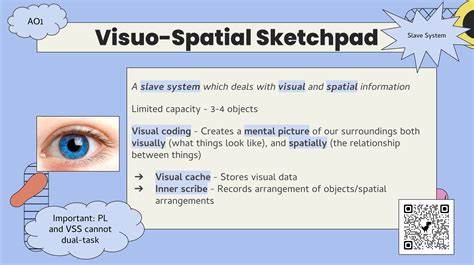 Working Memory Model Memory Aqa A Level Psychology Teaching Resources