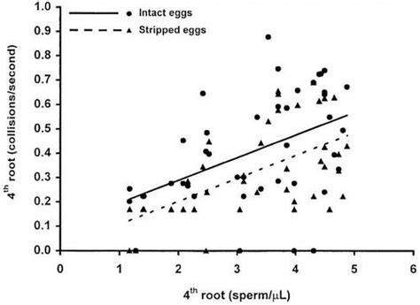 Fourth Root Graph