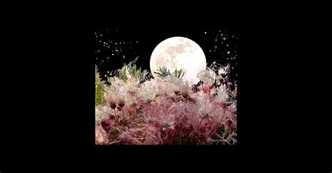 Moonlight Pass Moon Sticker Teepublic