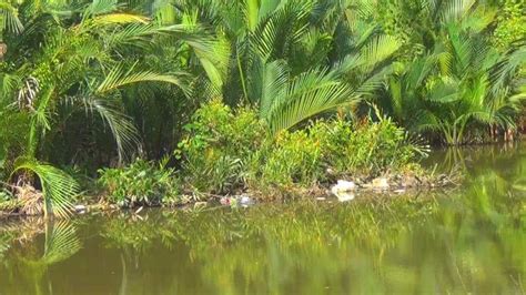 អភិបាលខេត្តកំពត៖ ដងព្រែកគ្មានសំរាម បរិស្ថានស្អាត