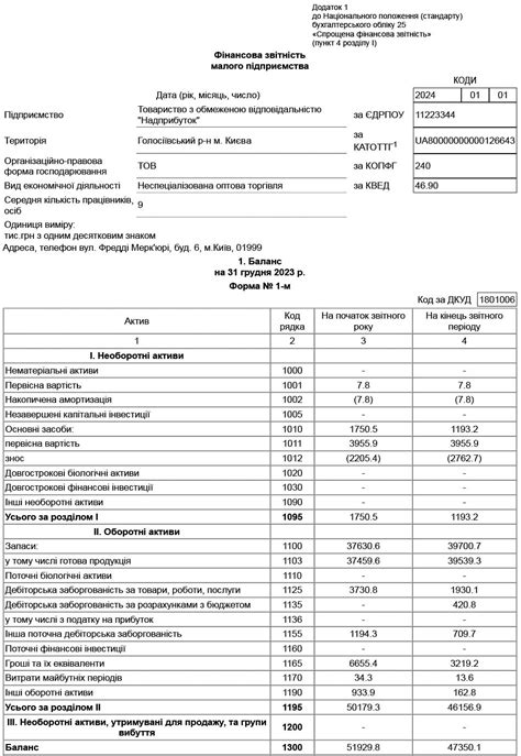 Приклад №1 фінансової звітності малого підприємства
