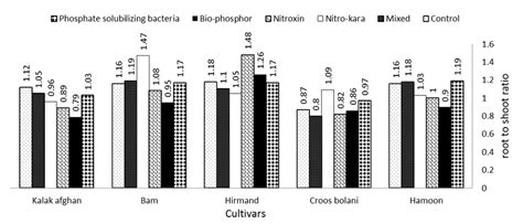 Interaction Between Cultivar And Bio Fertilizer On Root To Shoot Ratio
