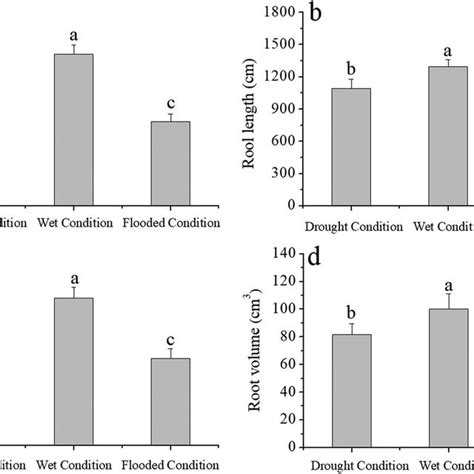 variations of root morphological parameters [root mean diameter a