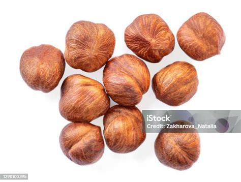 하얀 배경에 고립 된 헤이즐넛 맨 위 보기입니다 플랫 레이n 갈색에 대한 스톡 사진 및 기타 이미지 갈색 개념 개암나무 Istock