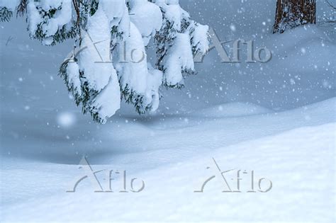 石川県 医王山県立自然公園 179556178 の写真素材 アフロ