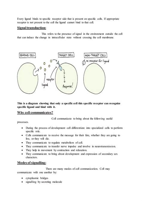 Cell Signaling Pathways Docx