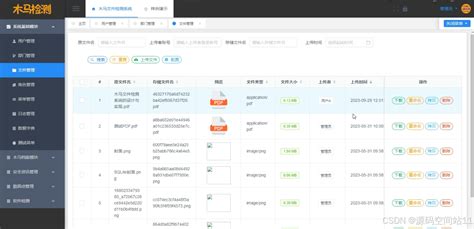 网安毕设之木马文件检测系统 Javavuespringbootmysql Csdn博客