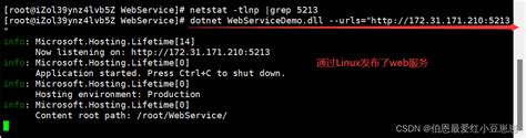 Webserver Net Core Web Net Core Api Linxu Csdn