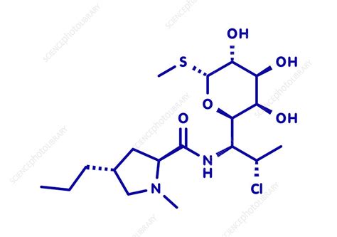 Clindamycin Antibiotic Drug Molecular Model Stock Image F0251854