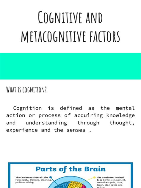 Cognitive And Metacognitive Factors Pdf